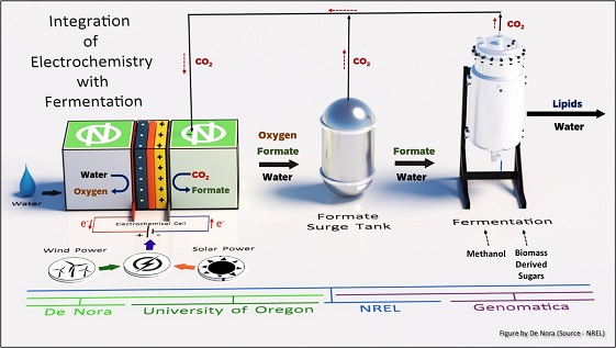De Nora to Partner with NREL, University of Oregon, and Genomatica to ...